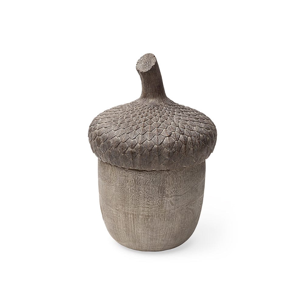 Mercana - Mandor I Small 6L x 6W Brown Resin Acorn Box - 57896 – AFA Stores
